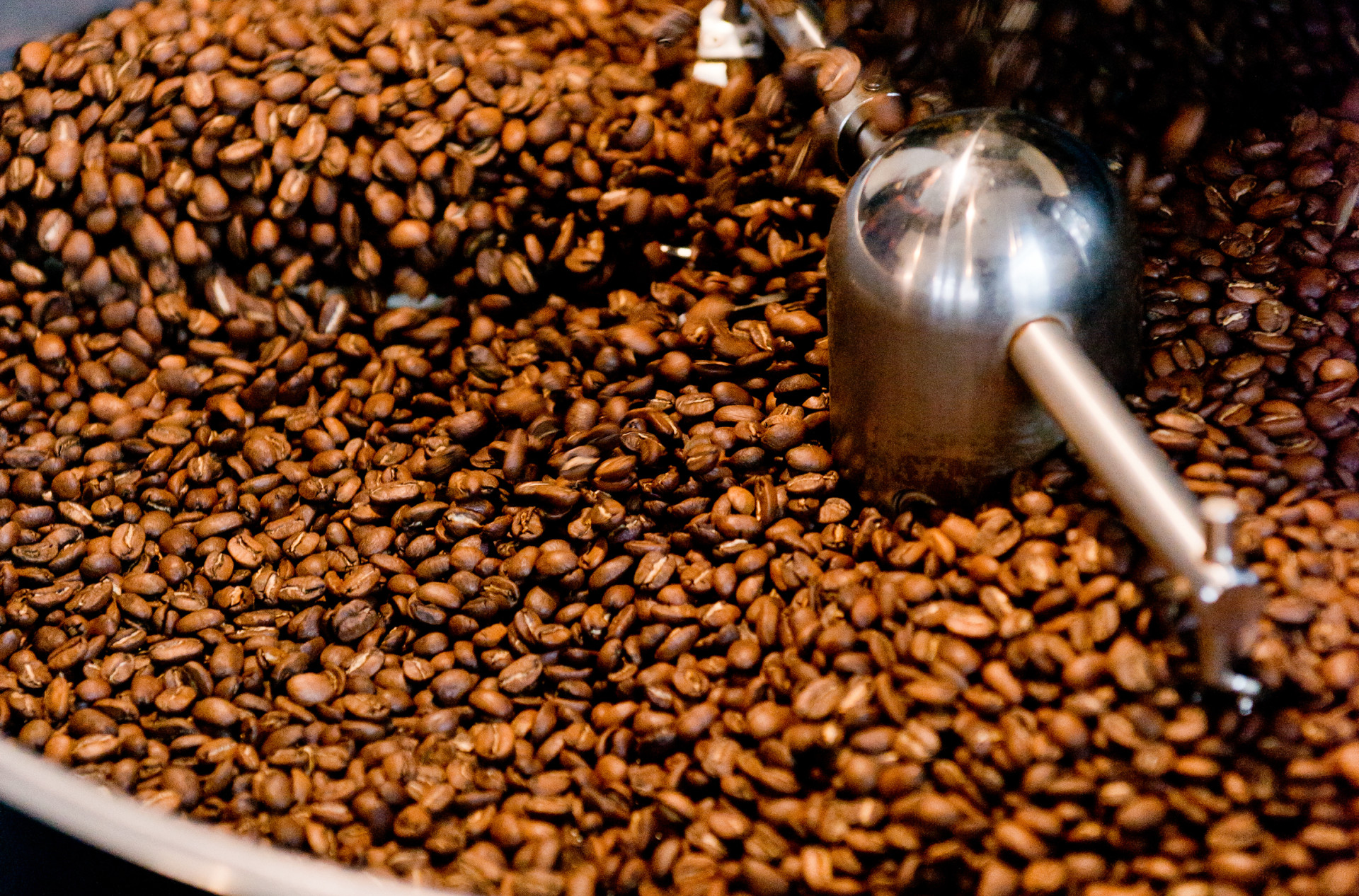 Café Tacuba — Markthalle Luzern